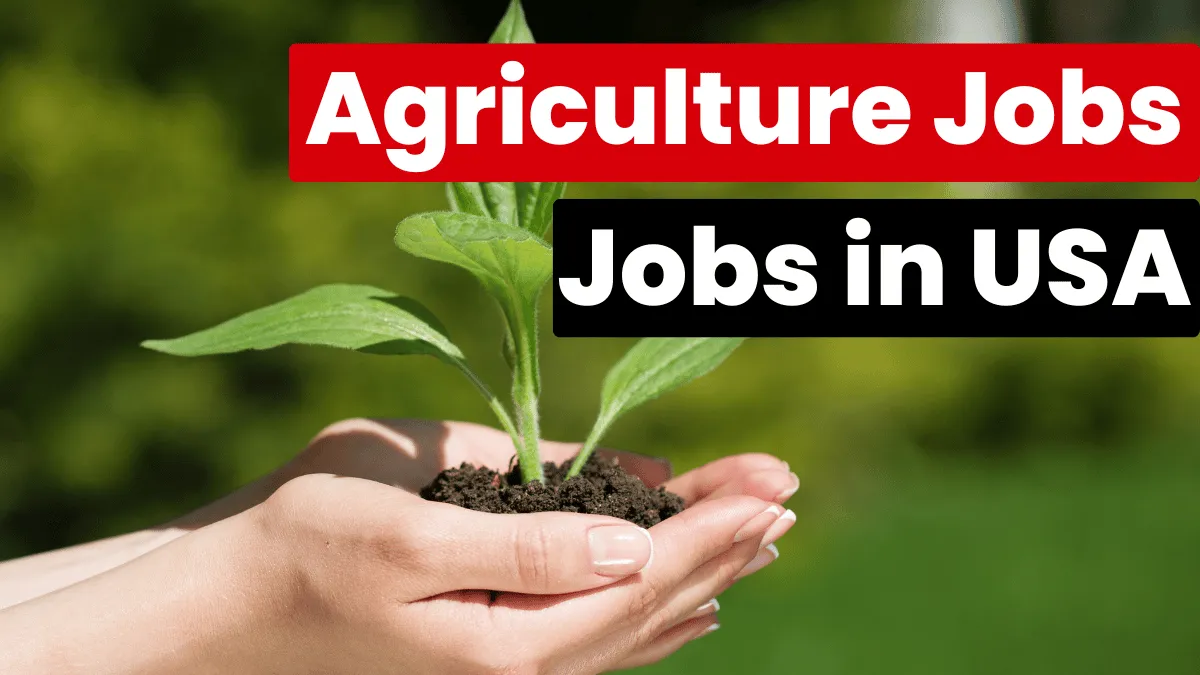 Agriculture Jobs in USA with Visa Sponsorship 2025 ($26.44 Hourly)