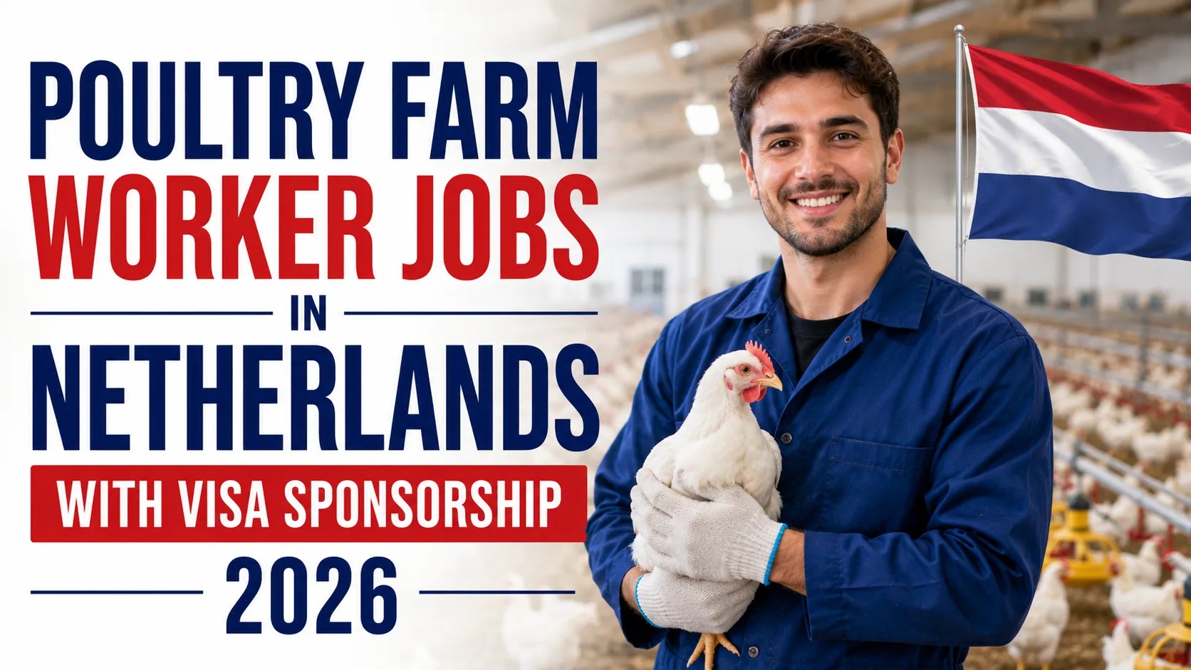 Poultry Farm Worker Jobs in Netherlands with Visa Sponsorship 2026